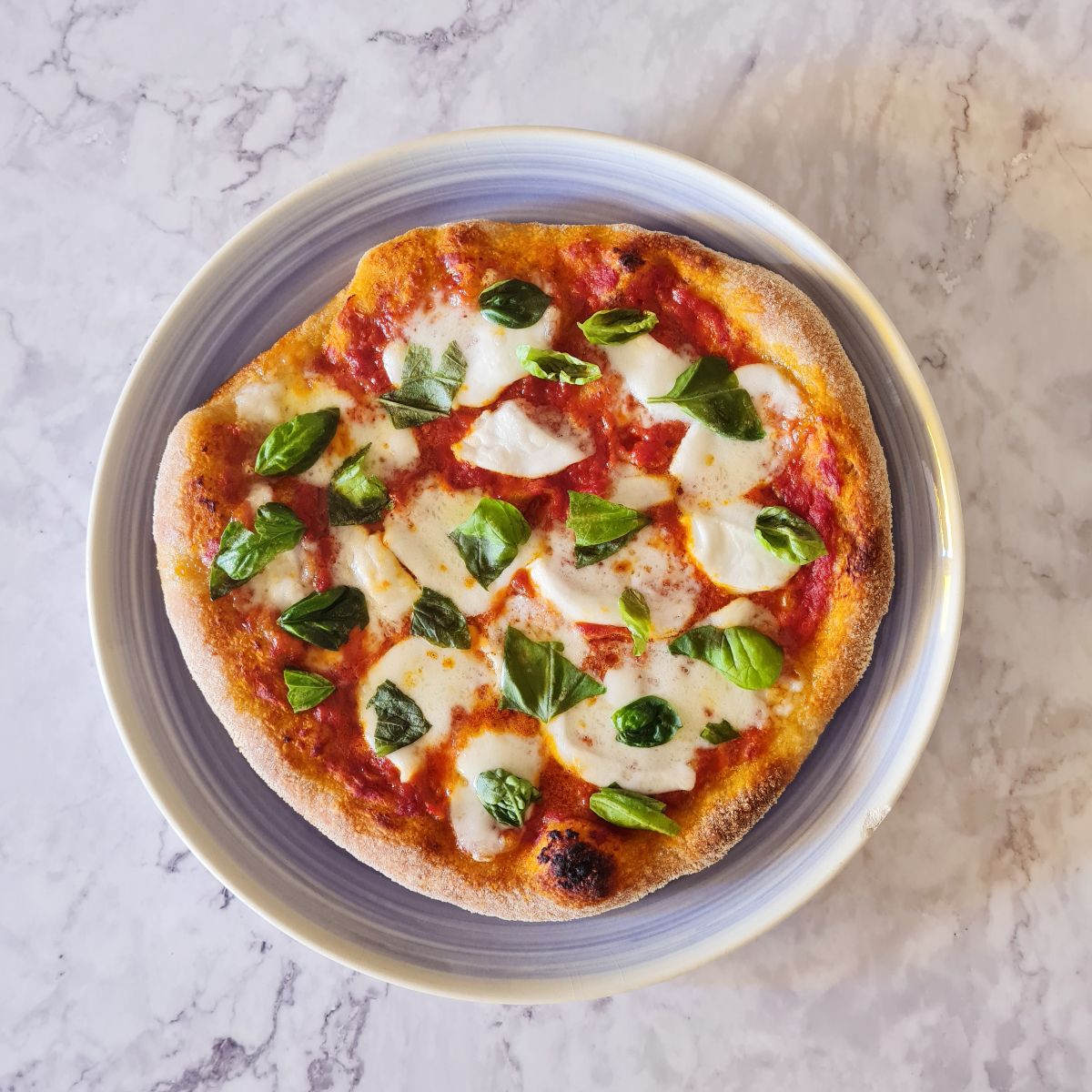 Imagen De Receta De Pizza Margarita Pizza Margarita (tomate,